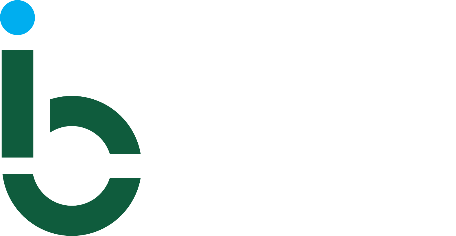 Home - IBC Engineering Services